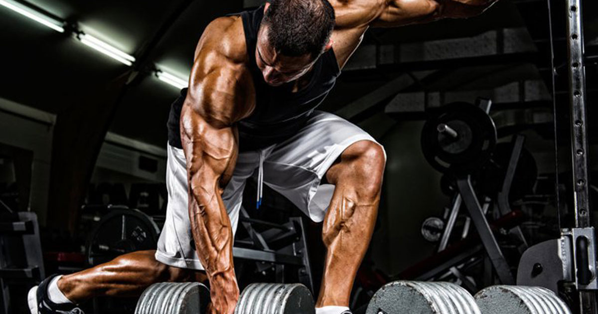 Scientific Strength Training: 3 Things You Absolutely Need To Know